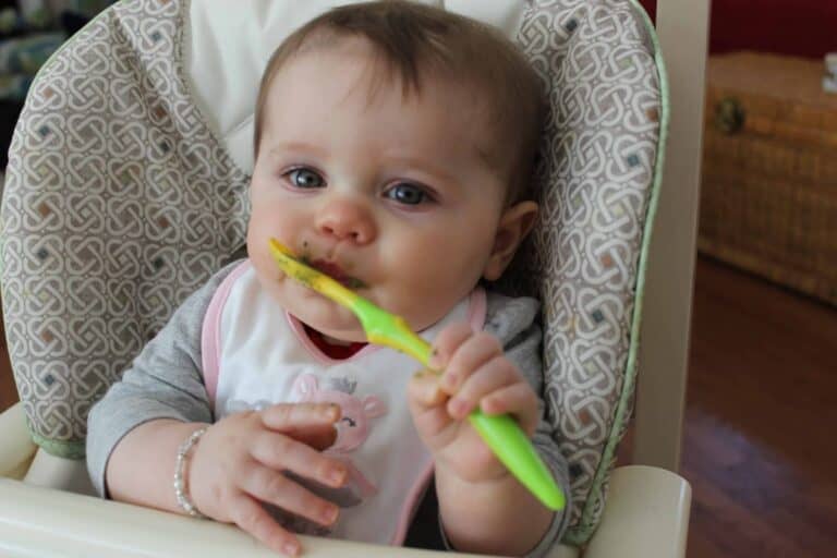 Raising a Healthy Baby: Baby Food Basics - Delish Knowledge