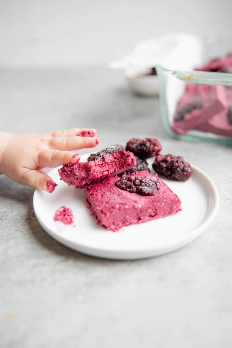Berry Vegan Freezer Fudge - Delish Knowledge