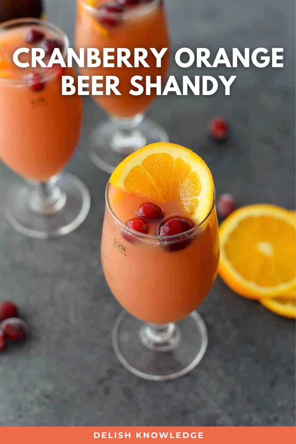 Cranberry Orange Beer Shandy - Delish Knowledge