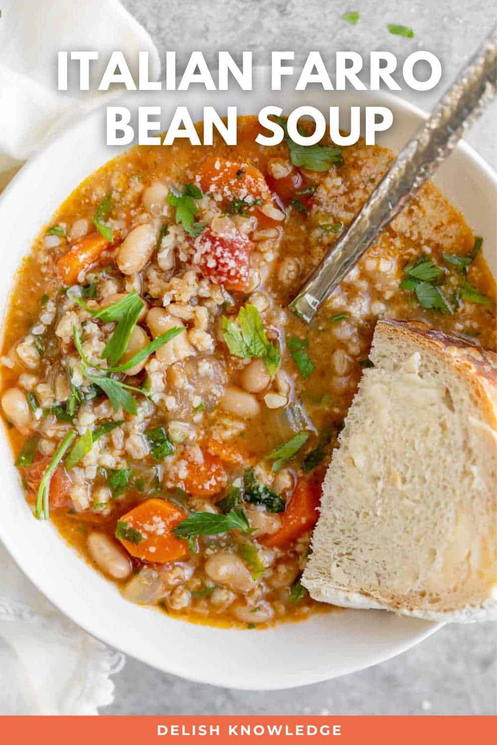 Italian Farro Bean Soup - Delish Knowledge