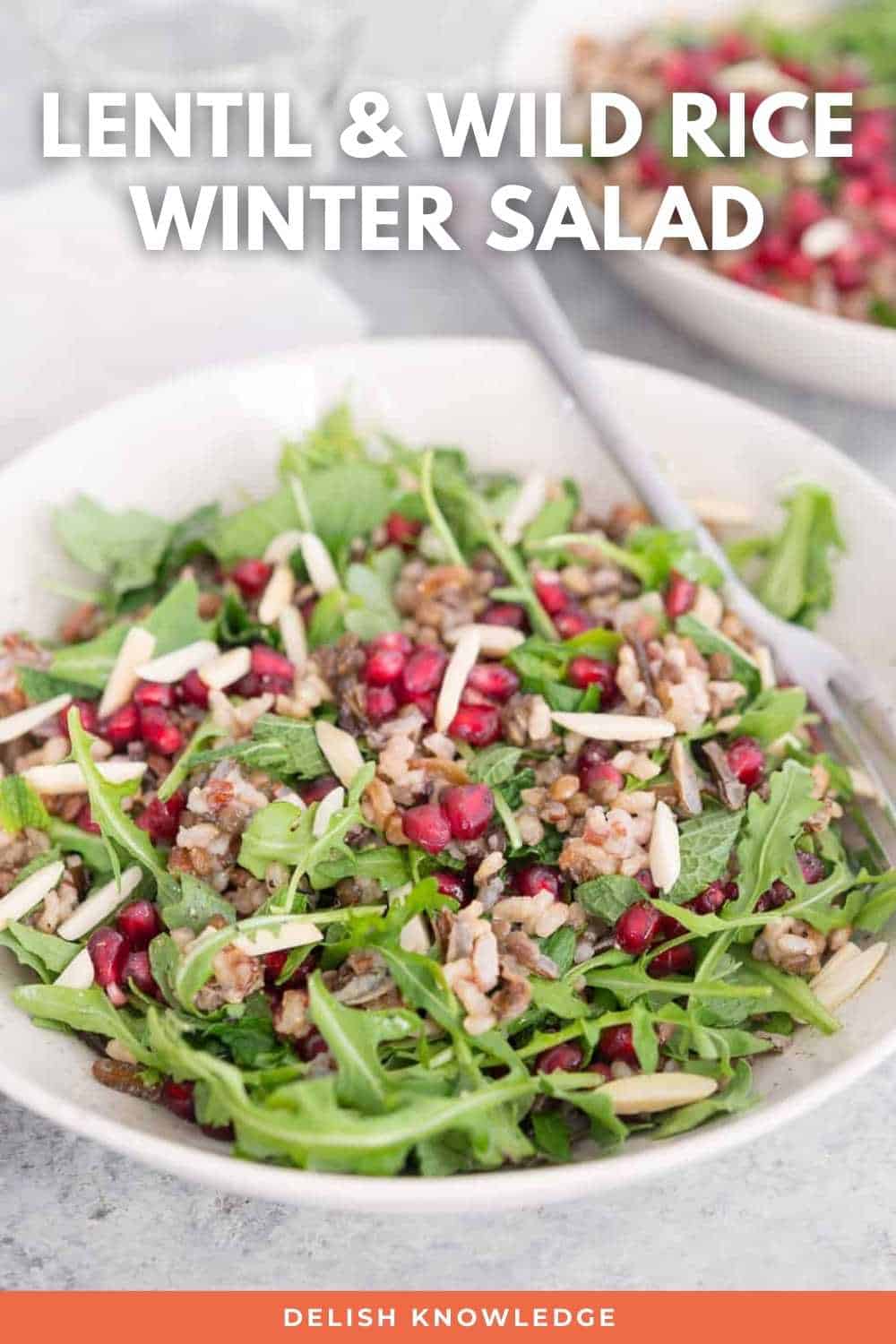 Lentil and Wild Rice Winter Salad - Delish Knowledge
