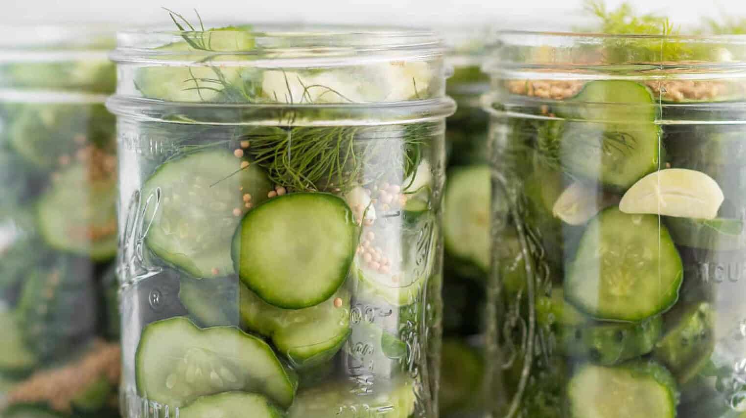 Simple Canning Recipe for Dill Pickles - Delish Knowledge