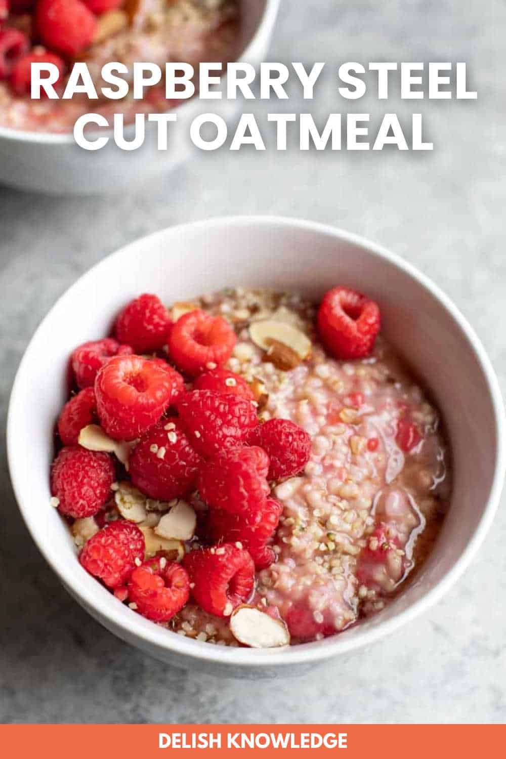 Instant Pot Raspberry Steel Cut Oatmeal - Delish Knowledge