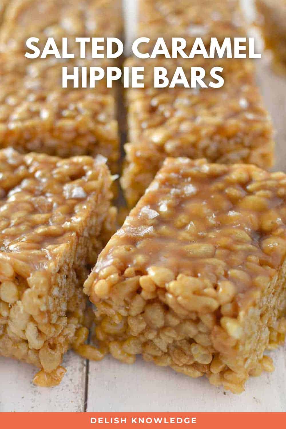 Vegan Salted Caramel Hippie Bars - Delish Knowledge