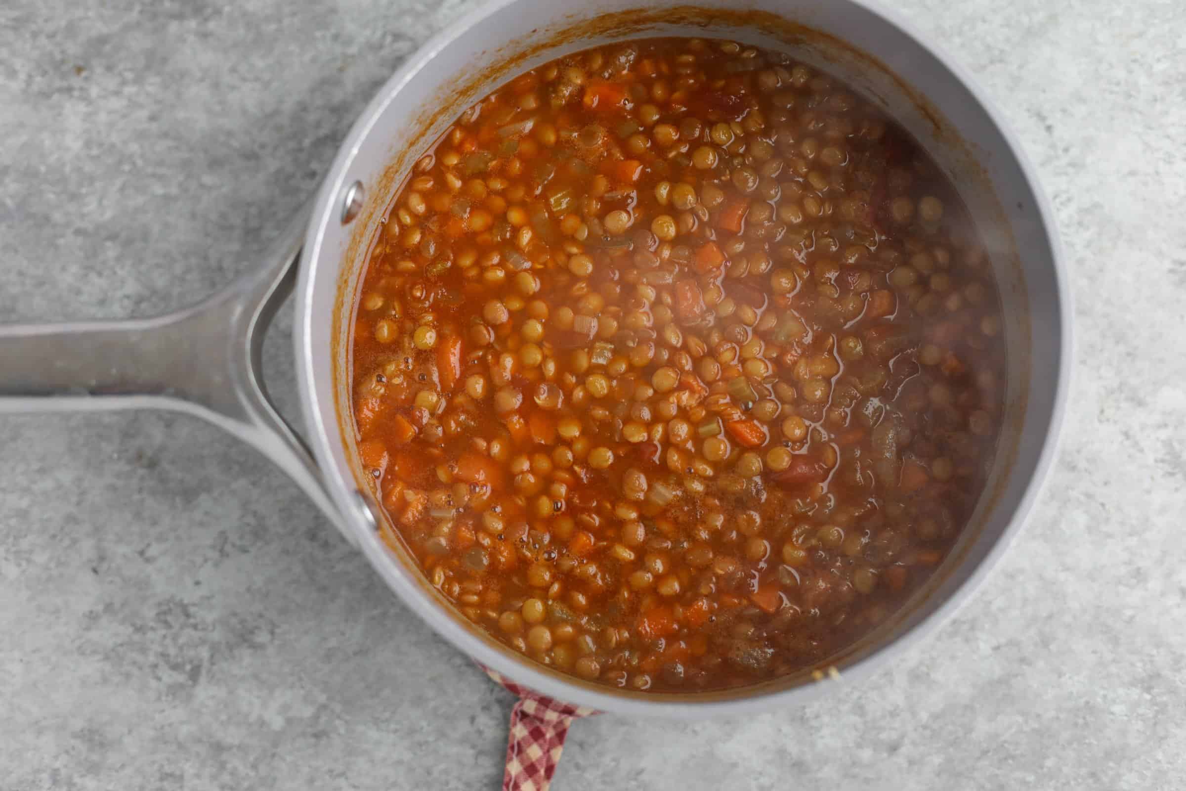 Small Batch Lentil Soup (Serves 2-3) - Delish Knowledge