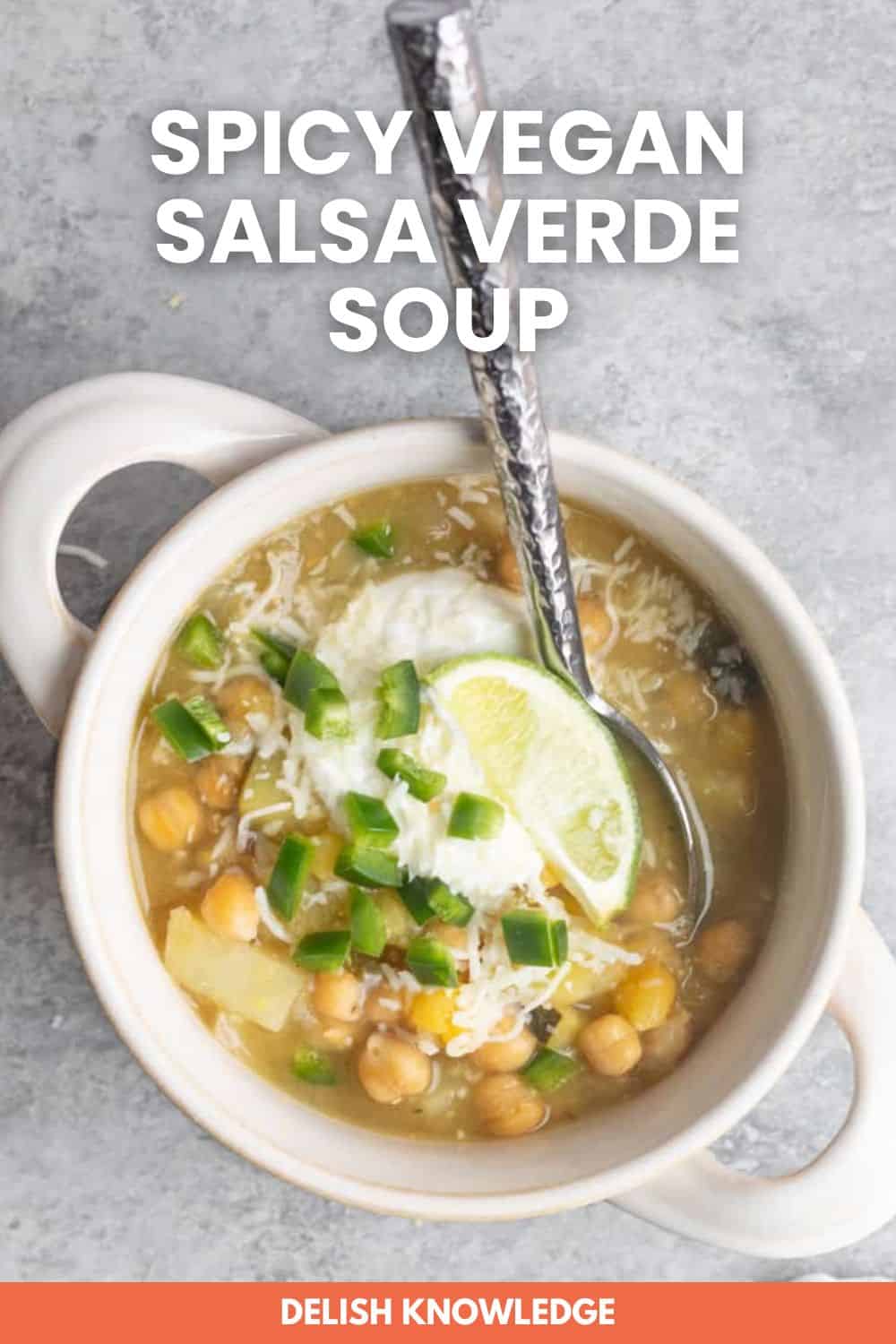Spicy Vegan Salsa Verde Soup - Delish Knowledge