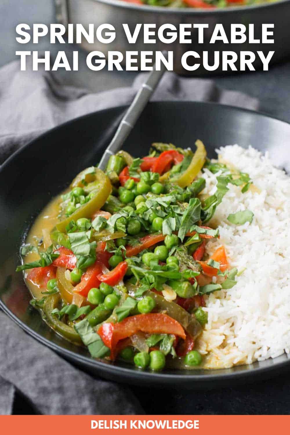 Spring Vegetable Thai Green Curry - Delish Knowledge