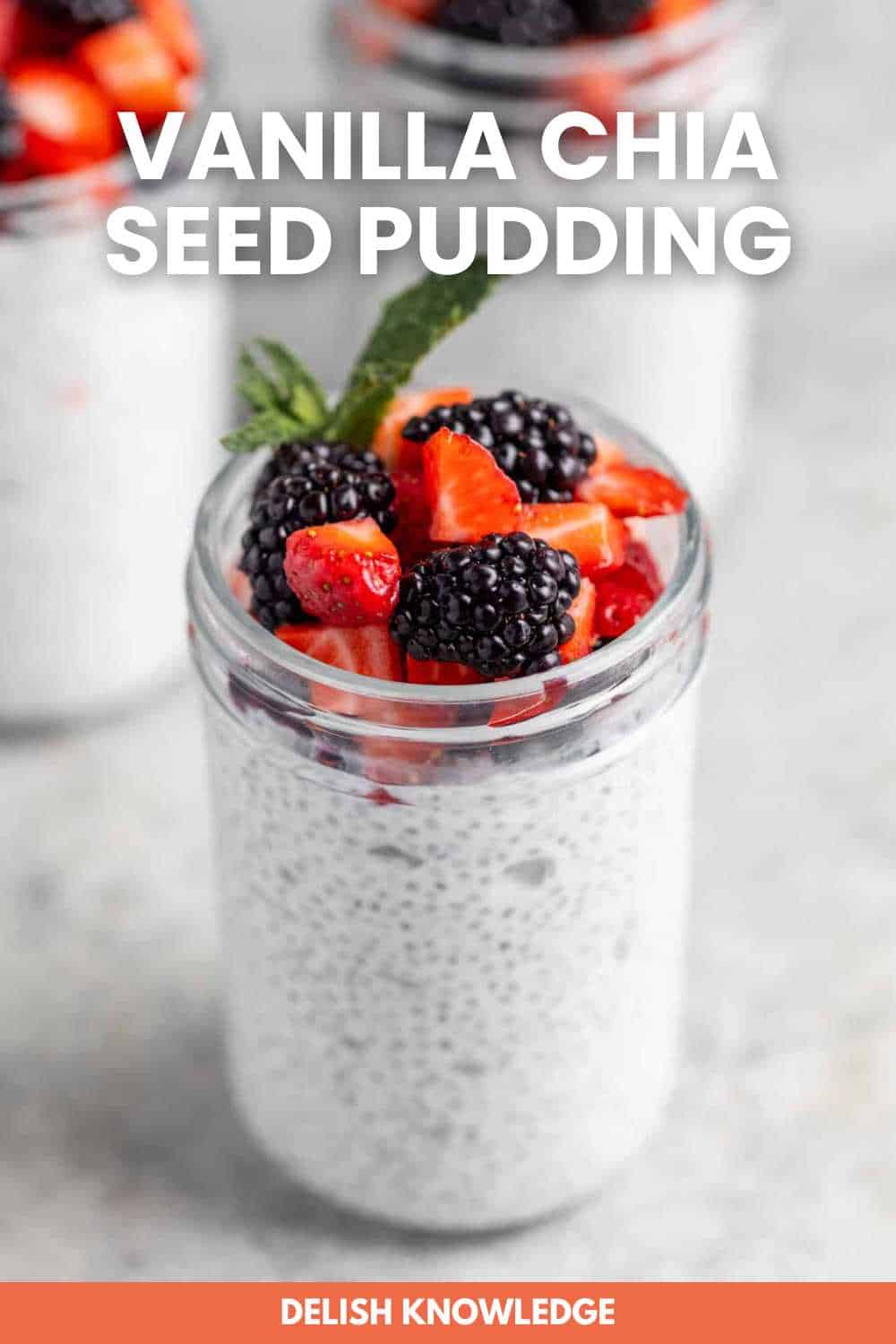 Vanilla Chia Seed Pudding Recipe - Delish Knowledge