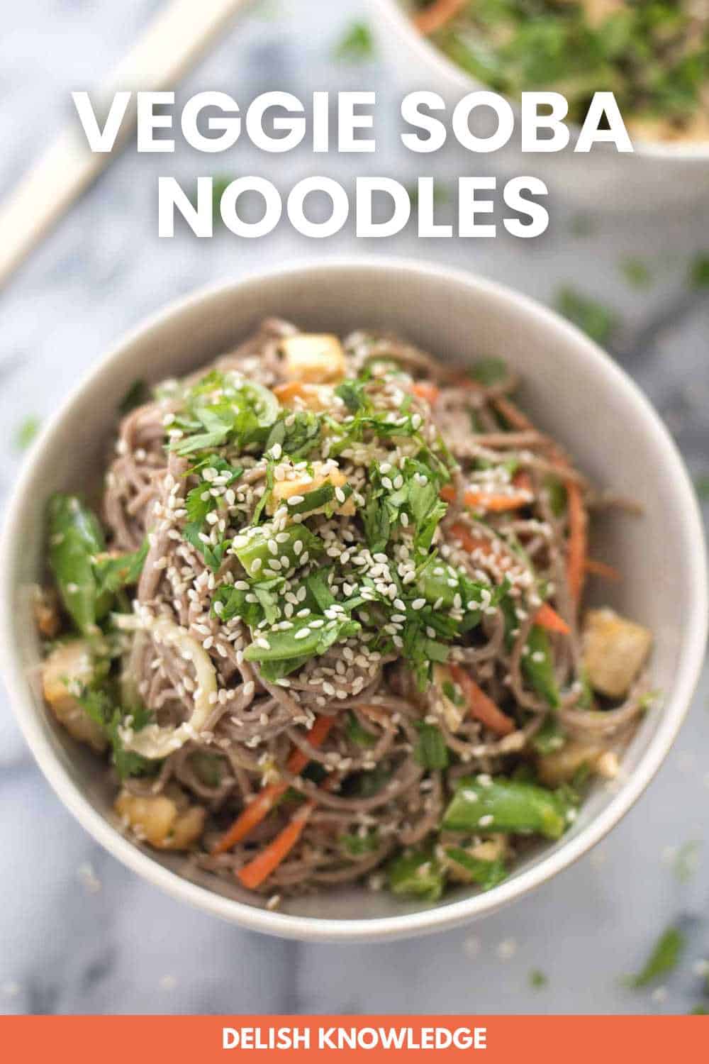 Veggie Soba Noodles with Marinated Tofu - Delish Knowledge